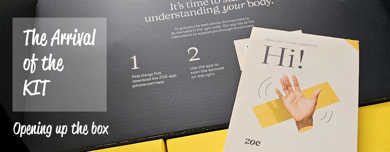 A Personal Experience with the Zoe App & Program - Somebody Told Me